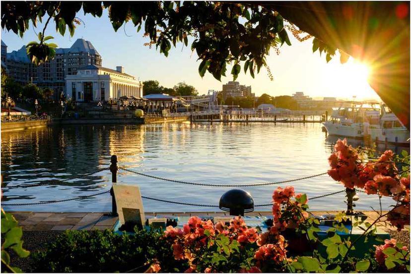 The Best Time to Visit Victoria - See Sight Tours