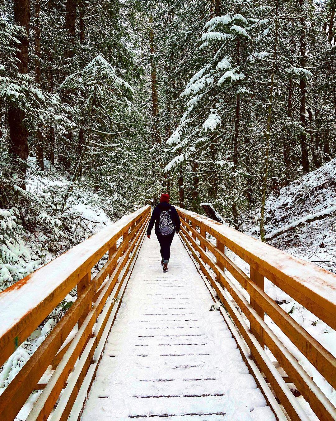 Visiting Victoria, BC in February - See Sight Tours